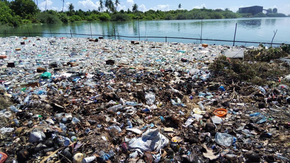 Start up a new project: Closing the Loop -Scaling up Innovation to ...